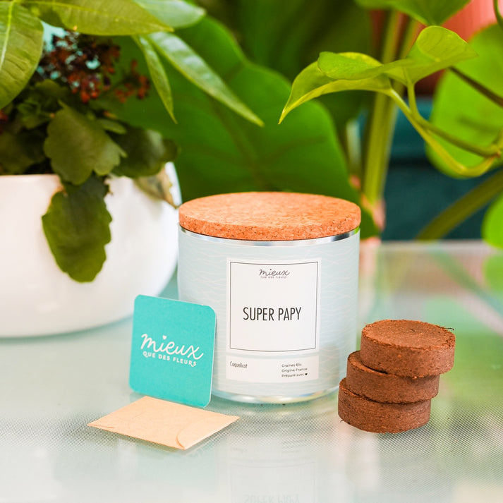 Kit à planter avec message - Famille et Amis – Mieux Que Des Fleurs