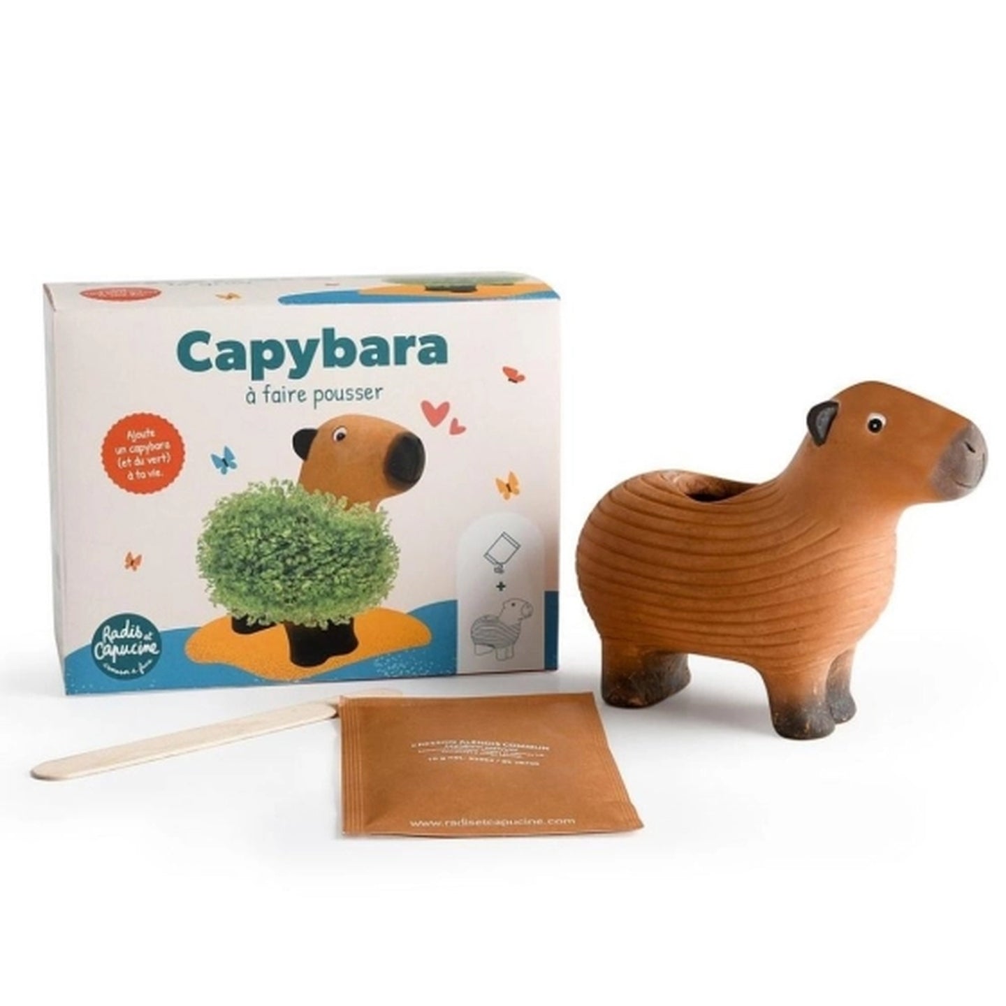 Capybara en terre cuite avec graines de chia - Mieux Que Des Fleurs